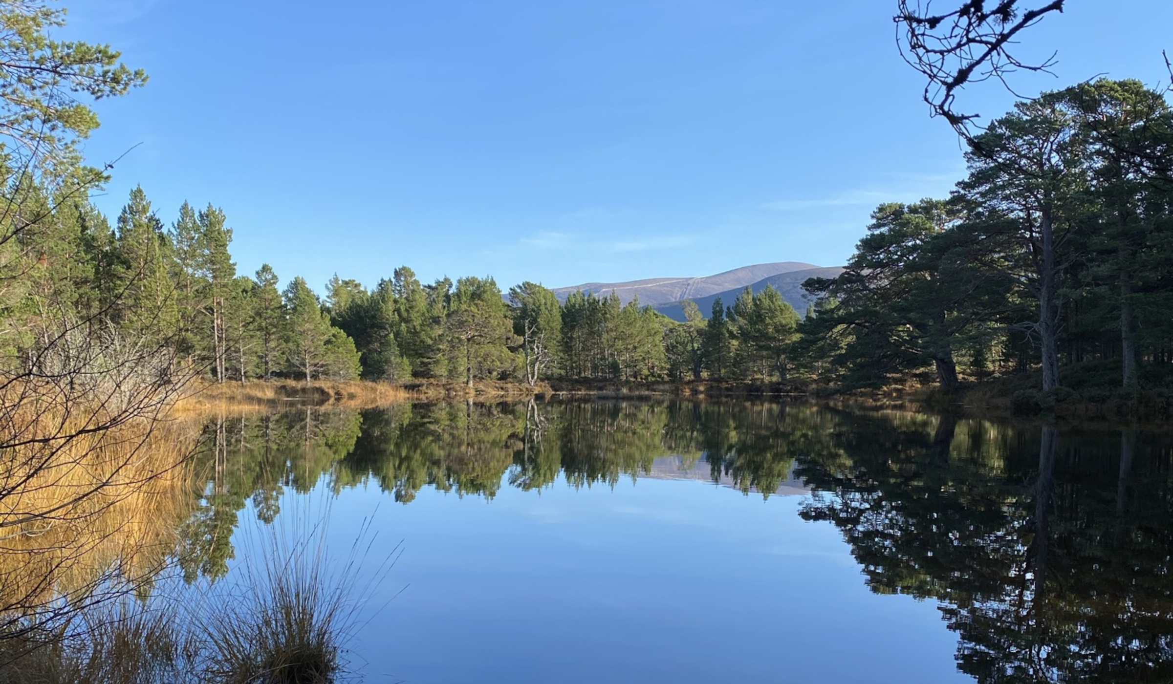 Highland Holiday Homes | Self Catering Cottages and Holiday Homes ...